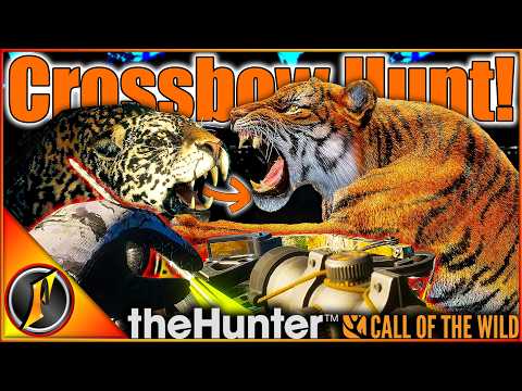Hunting Tigers with the CROSSBOW to Prepare for PERU! | theHunter Call of the Wild