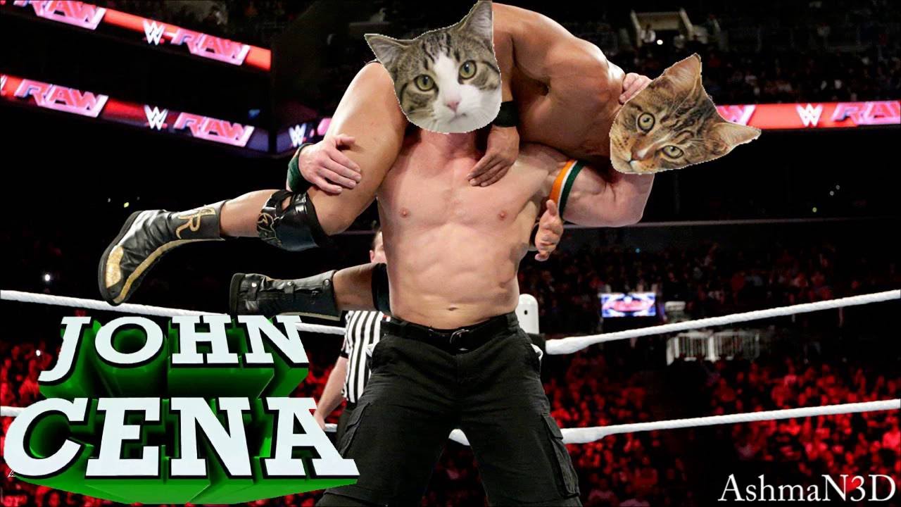 Cat Cena (John Cena - Cat Version) - YouTube