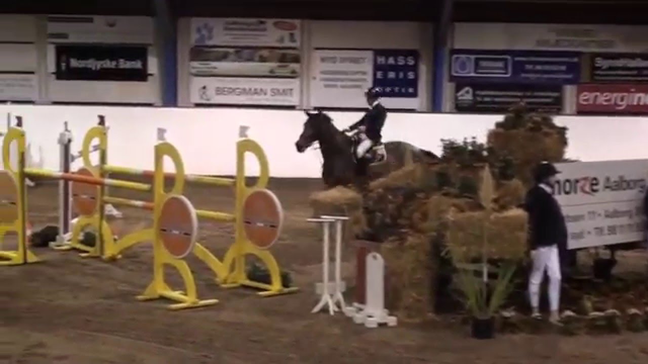 Torben Frandsen & Anton van het Gonnenhof SAO 2015 - YouTube