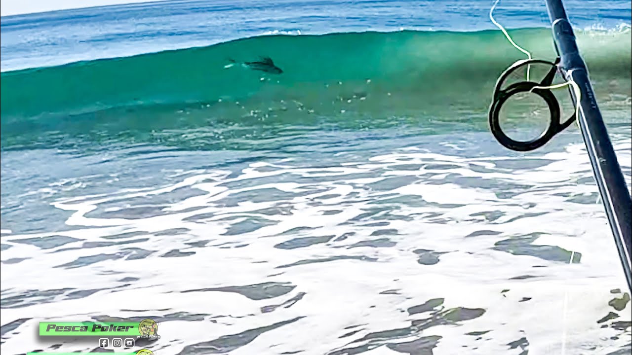 PESCA de PLAYA en el PACIFICO con MINNOW - YouTube