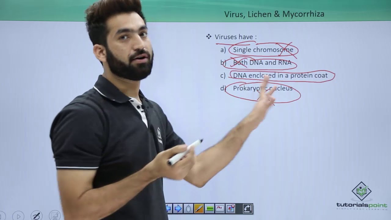 Class 11th – MCQs on Virus, Lichen and Mycorrhiza | Biological ...