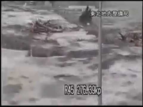 The real example of THE BELD - YouTube