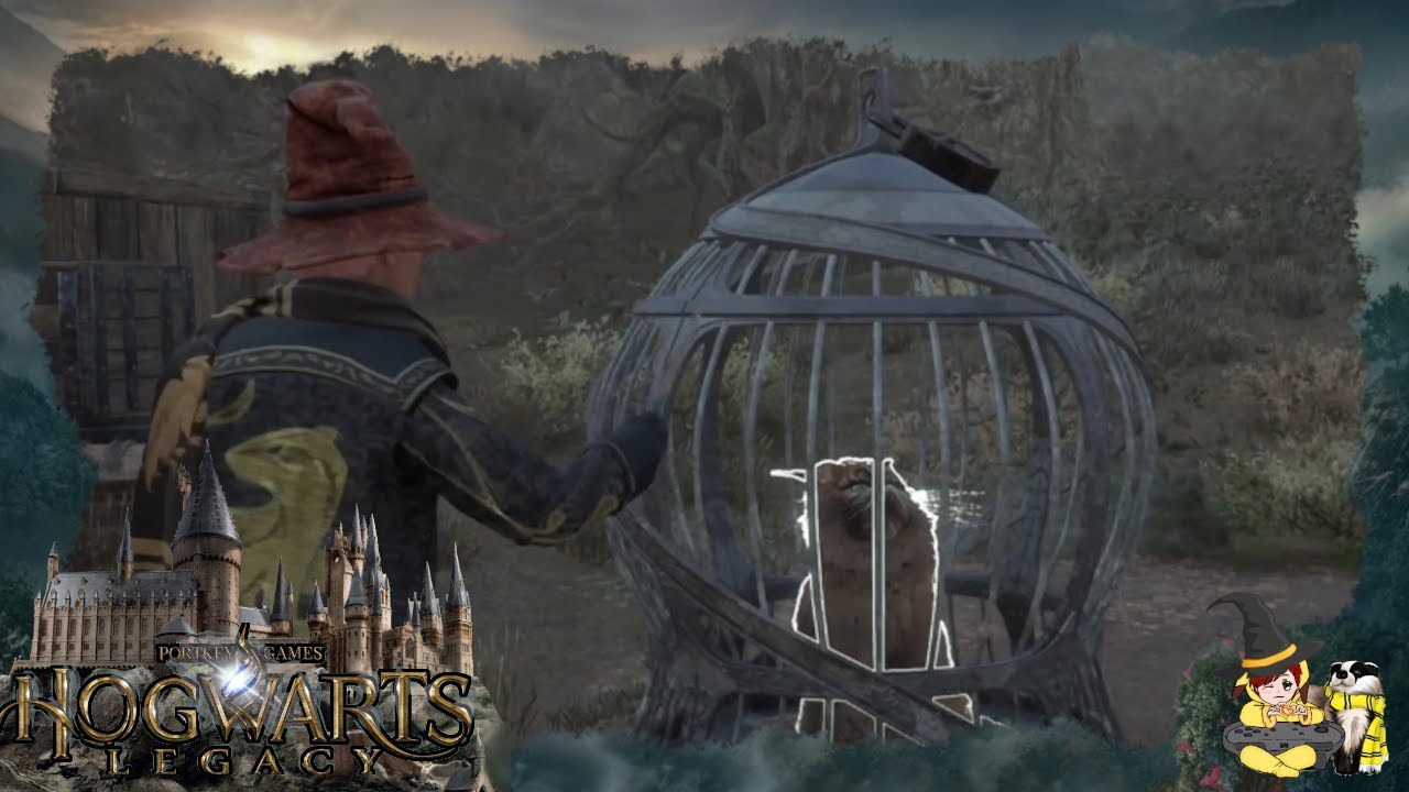 HOGWARTS LEGACY - [#93] Kniesel einfach bei den Wilderern klauen 🐱 🚓 ...