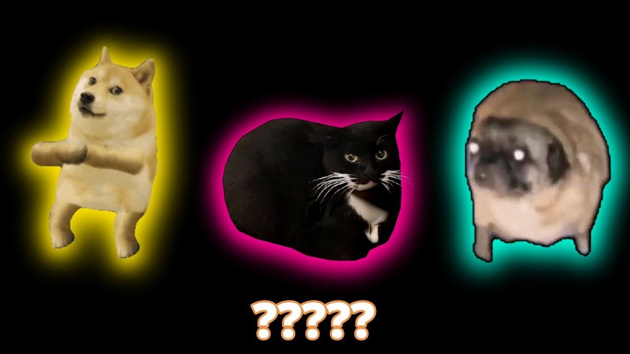7 "Maxwell The Cat and Pug and Doge Dancing" Sound Variations In 43 ...