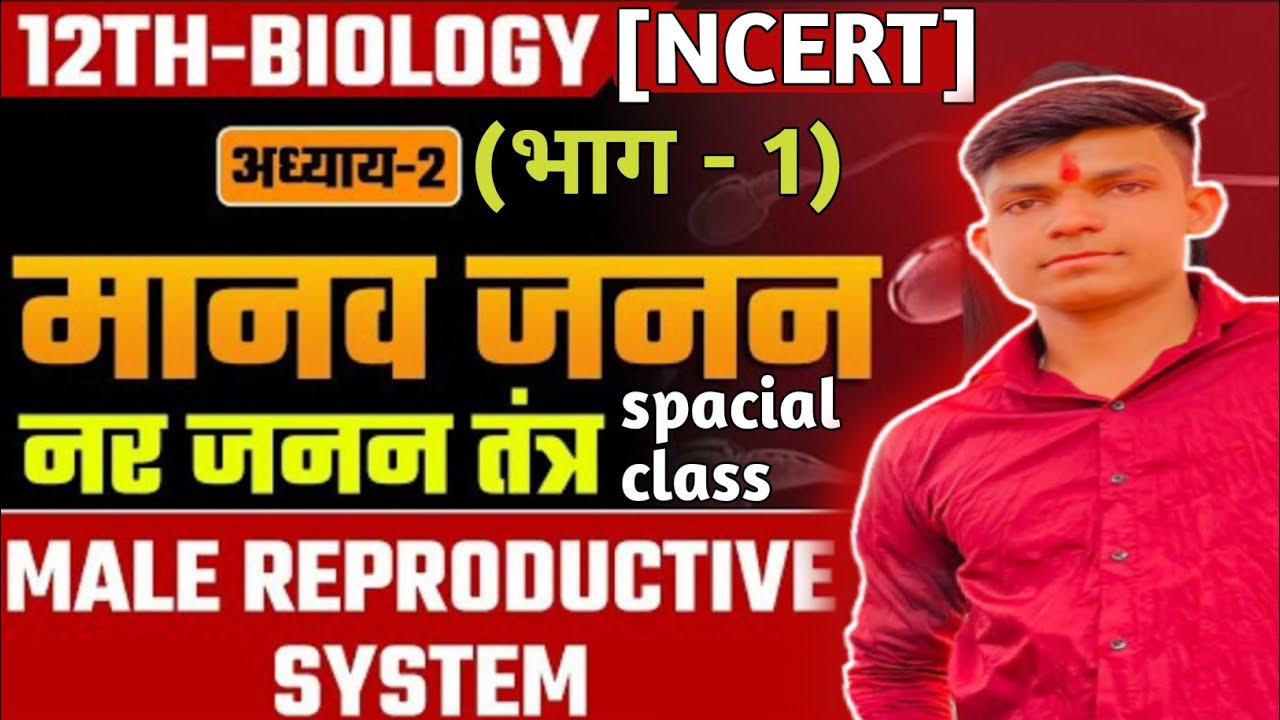 मानव जनन | Manav Janan | male reproductive system | nar Janan tantra # ...