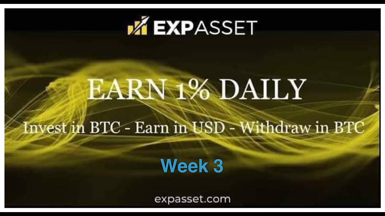 My EXP ASSET - Updates after Week 3 - YouTube