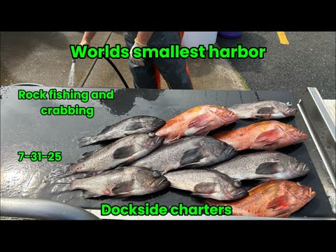 Does The Worlds Smallest Harbor Actually Have Good Fishing? | Dockside ...