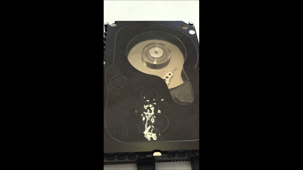 HD Western Digital Raptor X WD1500AHFD 150GB 10000 RPM 16MB Cache SATA ...