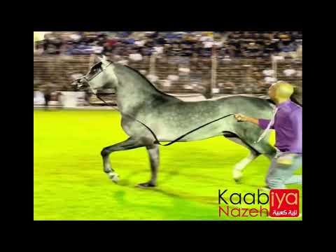 SIMAAN AH  .  S.M.A MAGIC ONE  BY PSYTADEL &  ZAHRED DREAMZ JTA