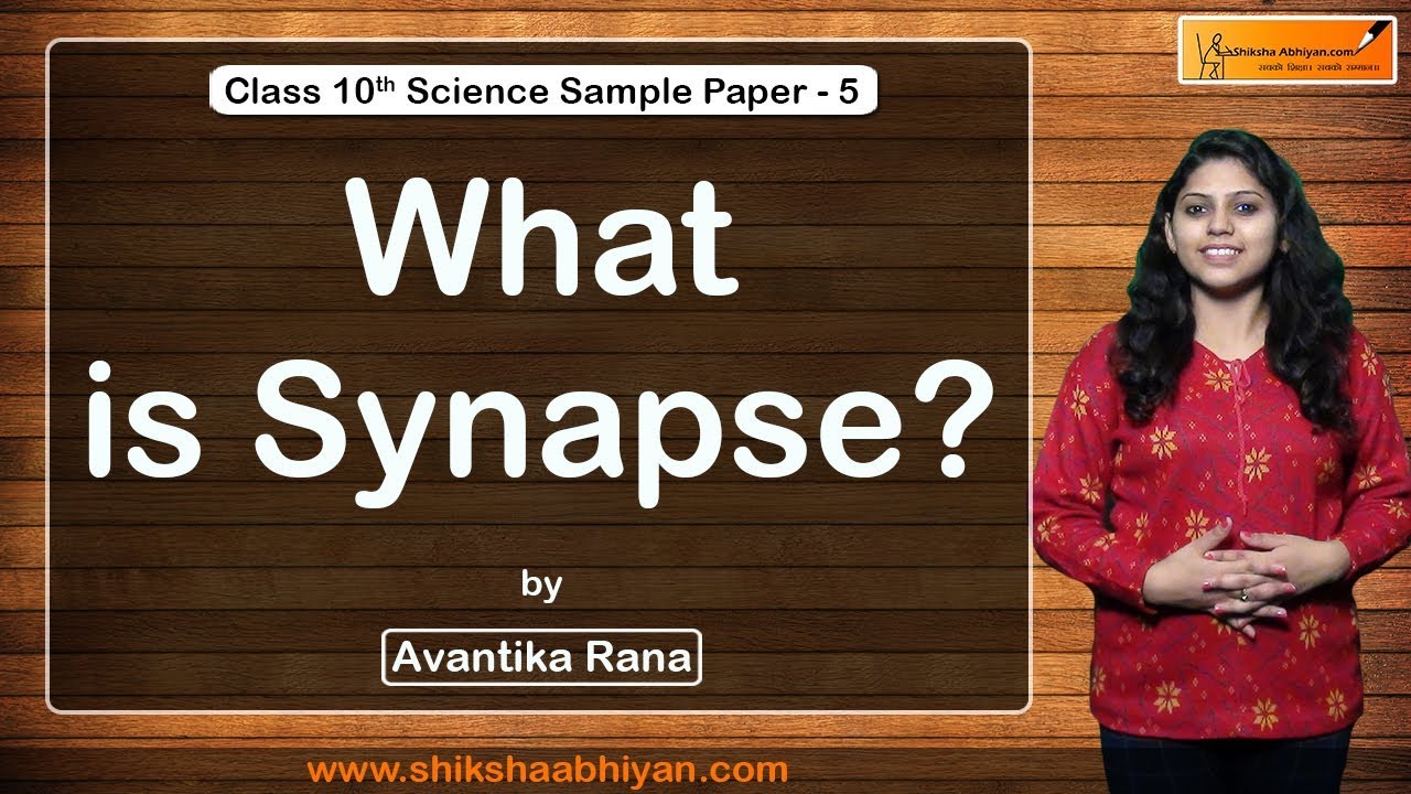 Q9 What is synapse | Sample Paper | CBSE Class 10 Science - YouTube