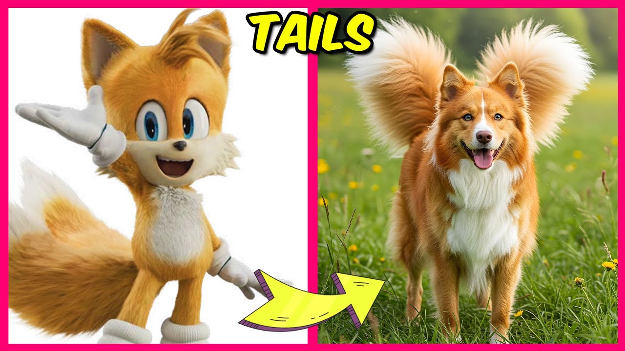 🦔 SONIC THE HEDGEHOG 3 Characters As Dogs + Their Favorites Things ! 🦊🐶 ...