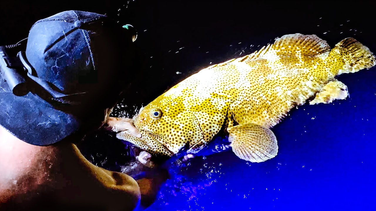 GIANT DEEP SEA GROUPER FISHING AT NIGHT Wahoo Catch And Cook (Upgrading ...