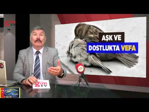 VEFA  SEMTİN adı  degil  O  Başka bir şey