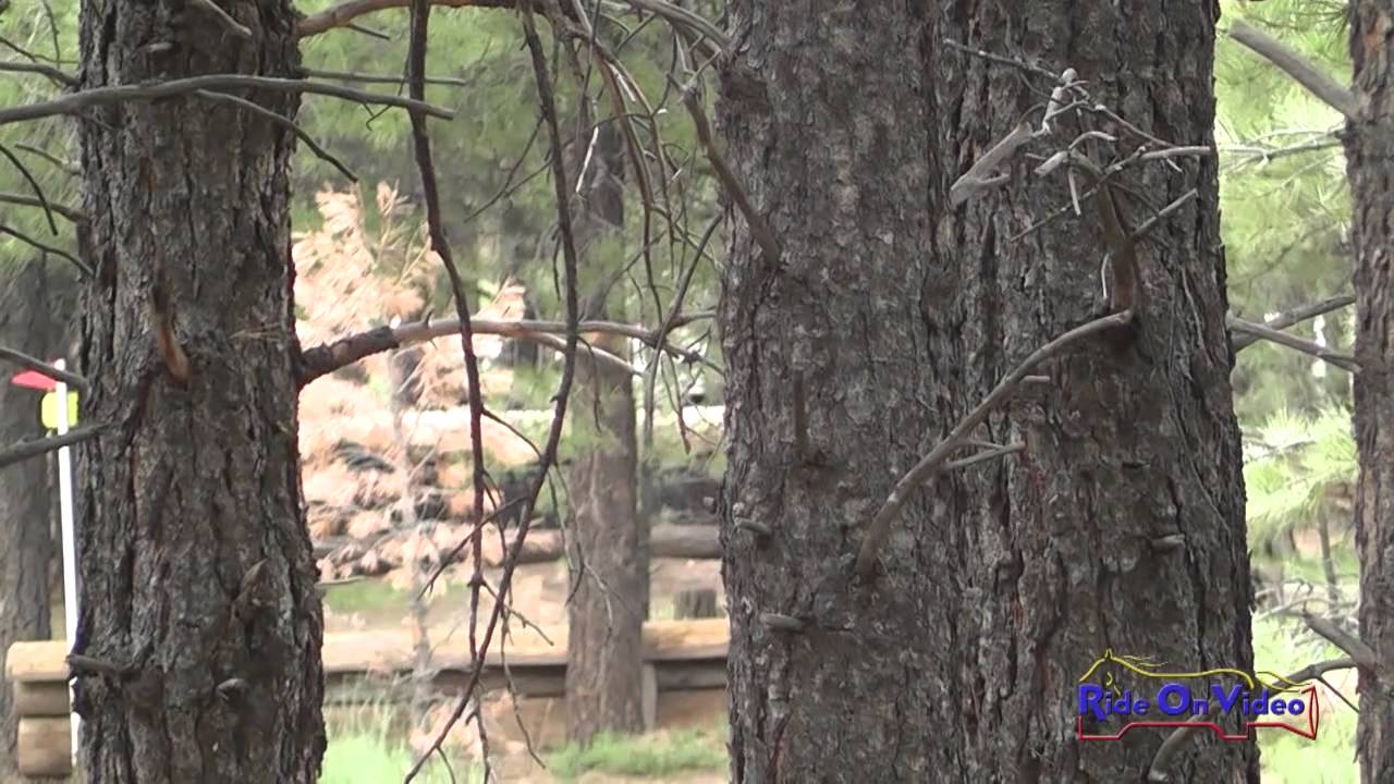 121XC Polly Leach Lychee SR Beginner Novice Cross Country Coconino ...