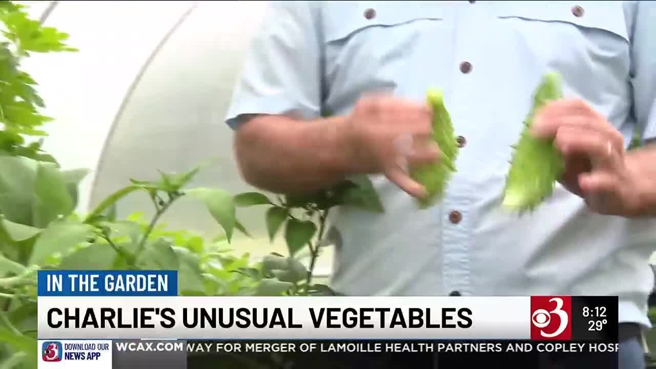 In the Garden: Charlie's unusual vegetables - YouTube