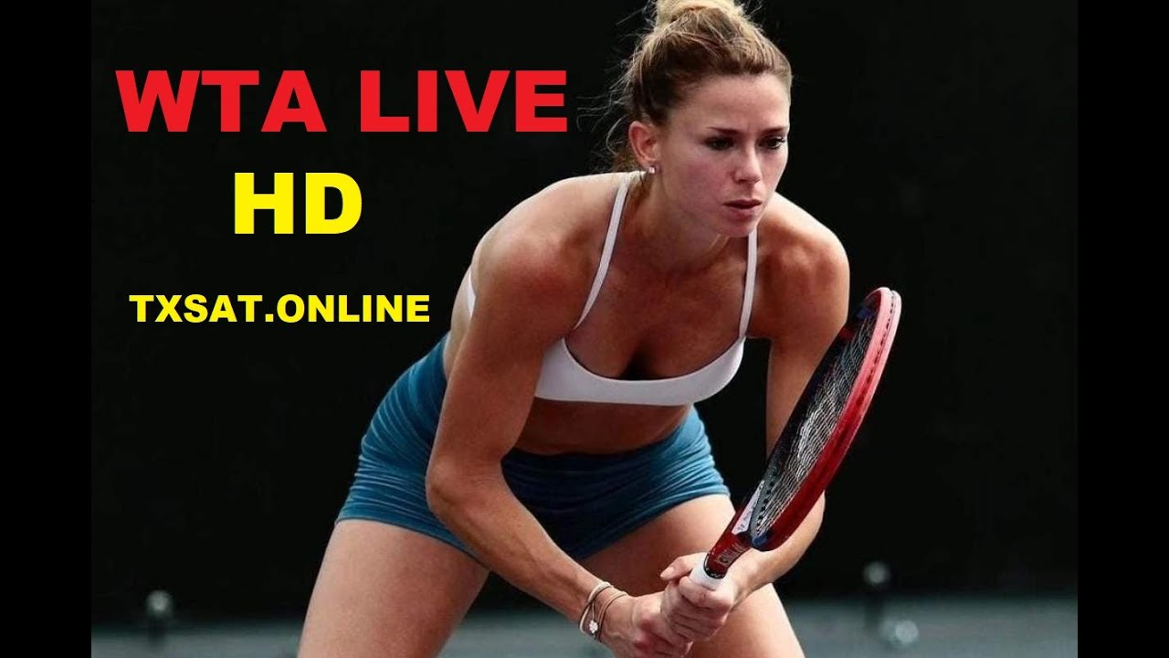 Foxstream live - YouTube