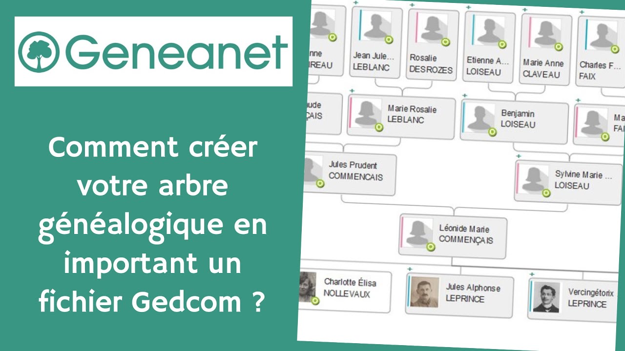 Geneanet - Comment créer votre arbre généalogique en important un ...