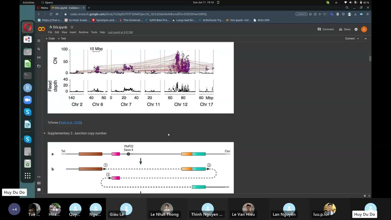 NGS3-20. Part 1: STRUCTURAL VARIANTS CALLING - YouTube