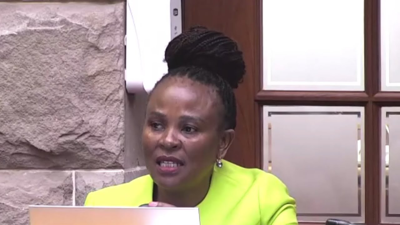 Busisiwe Mkhwebane Cross-Examination Section 194 Inquiry - YouTube