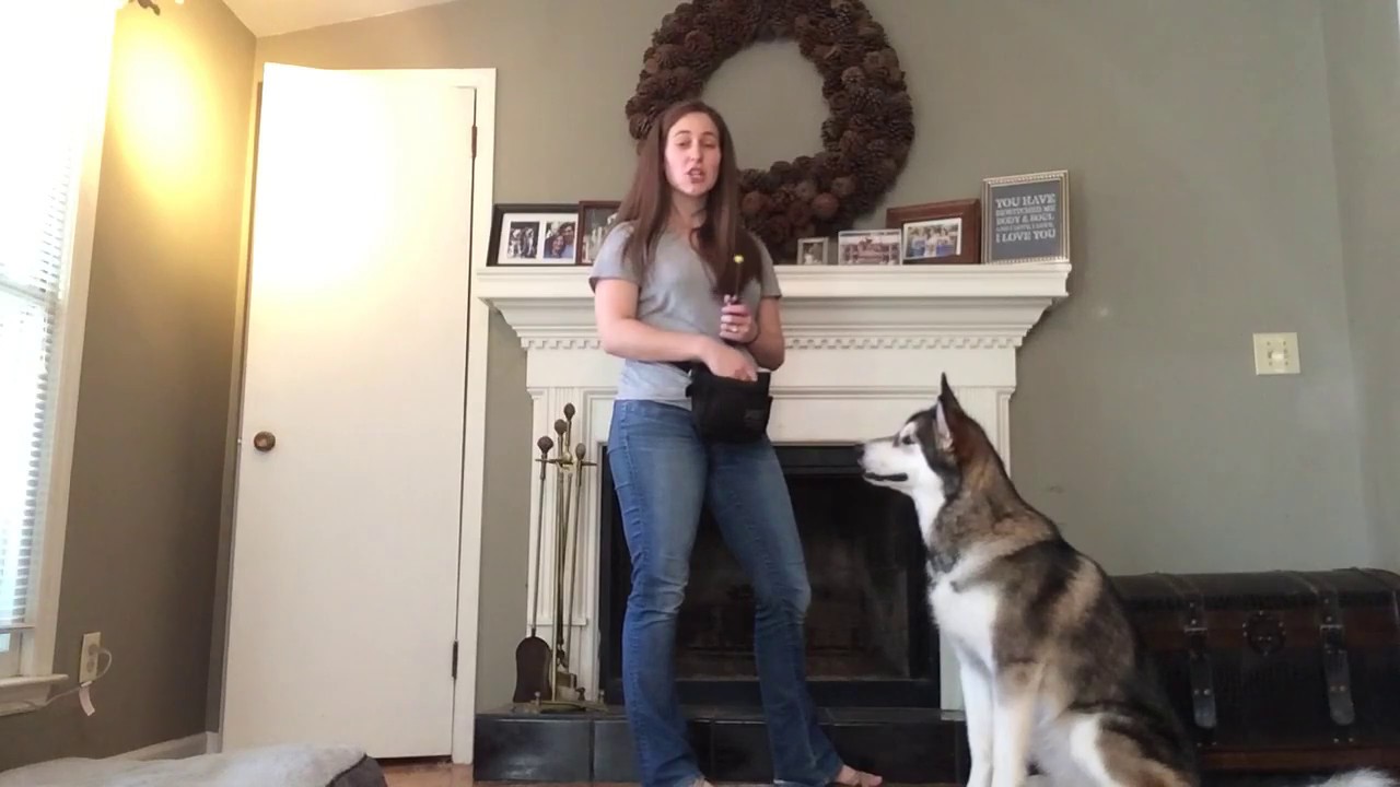 How To Use A Target Stick - YouTube