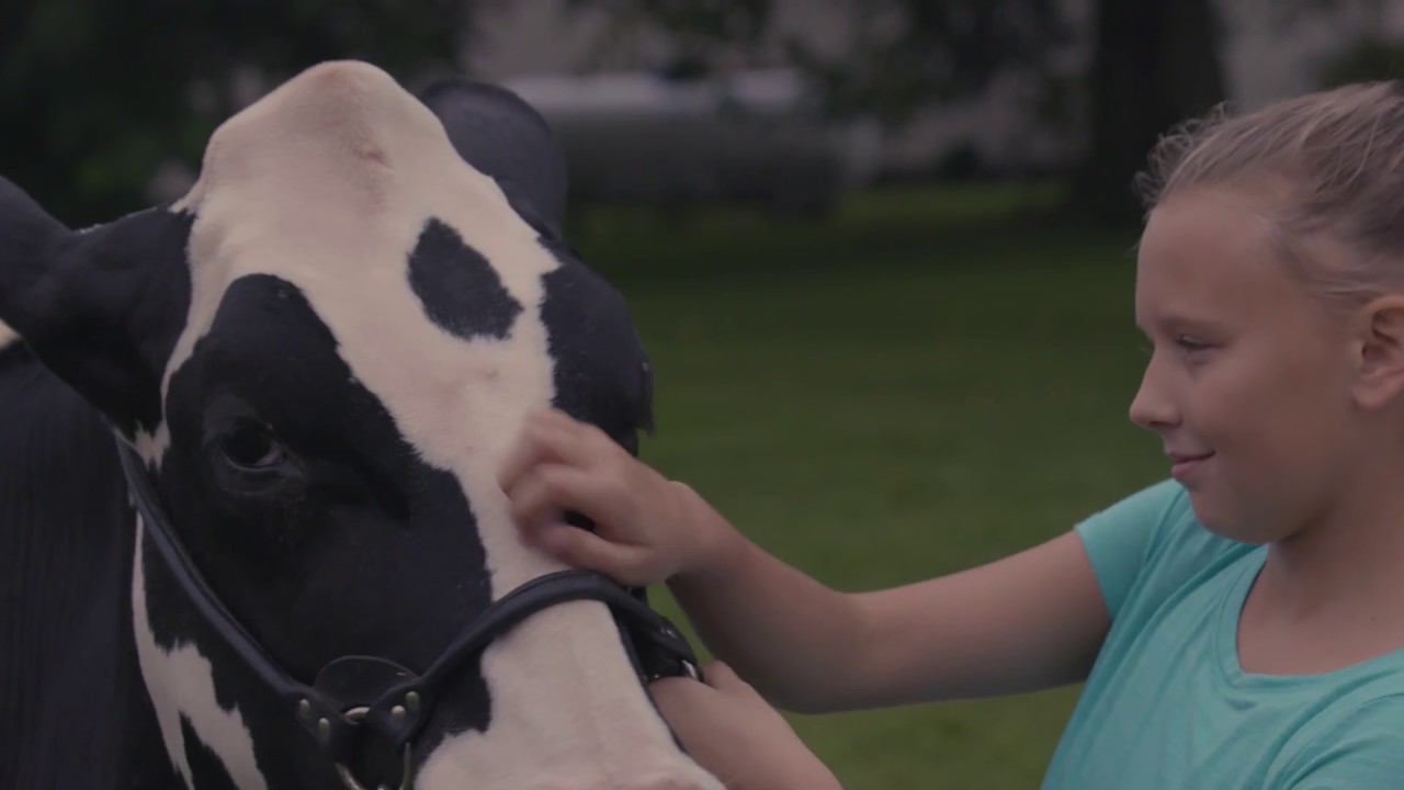 Kid and a Calf | Showcase Selections - YouTube