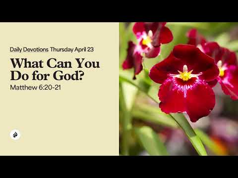 What Can You Do for God? – Daily Devotional