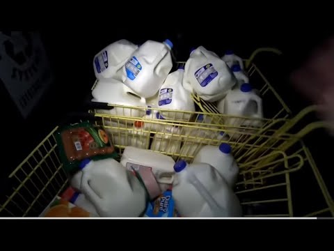 Dumpster Diving Dollar General #69 Free Grocery Shopping - YouTube