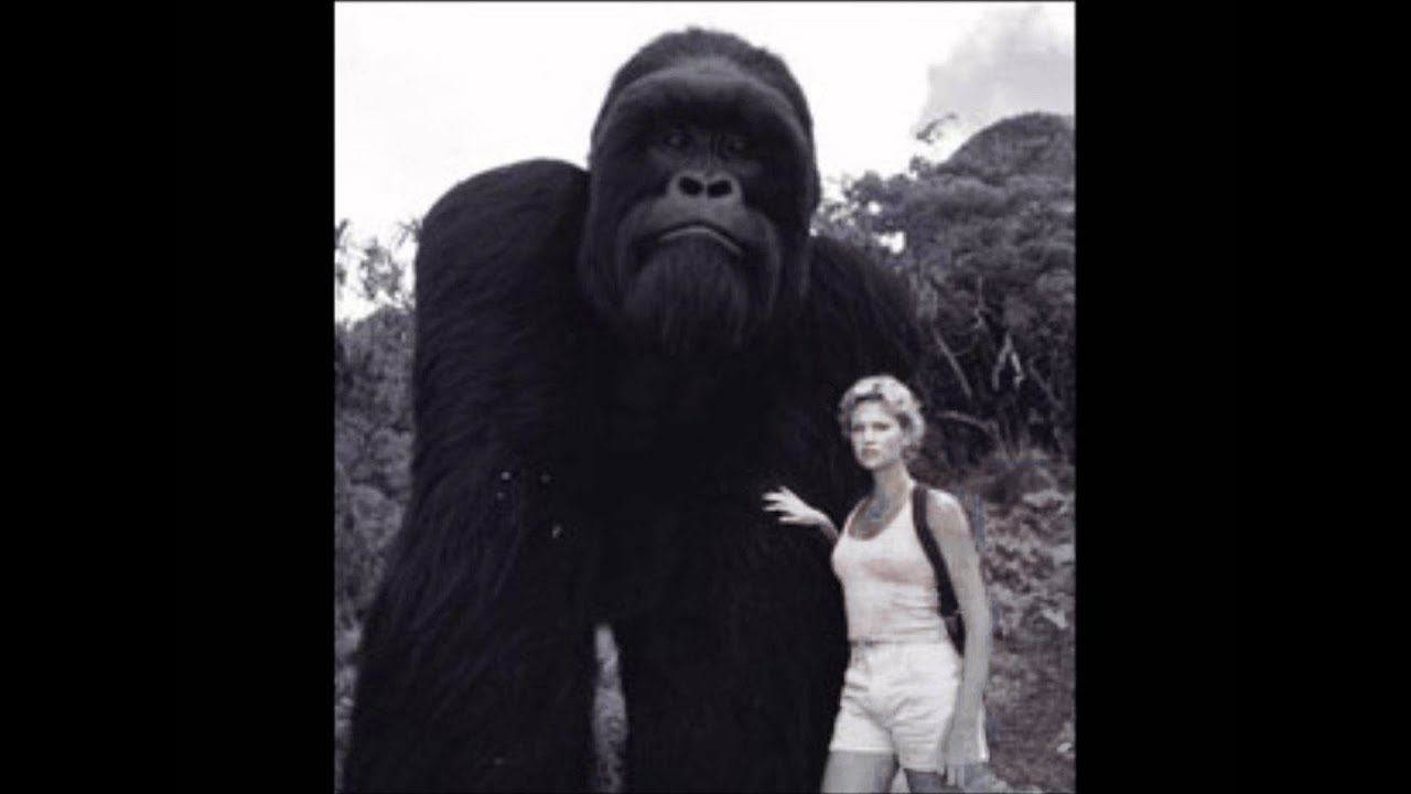 Il Grande Joe-Mighty Joe Young-WINDSONG - YouTube