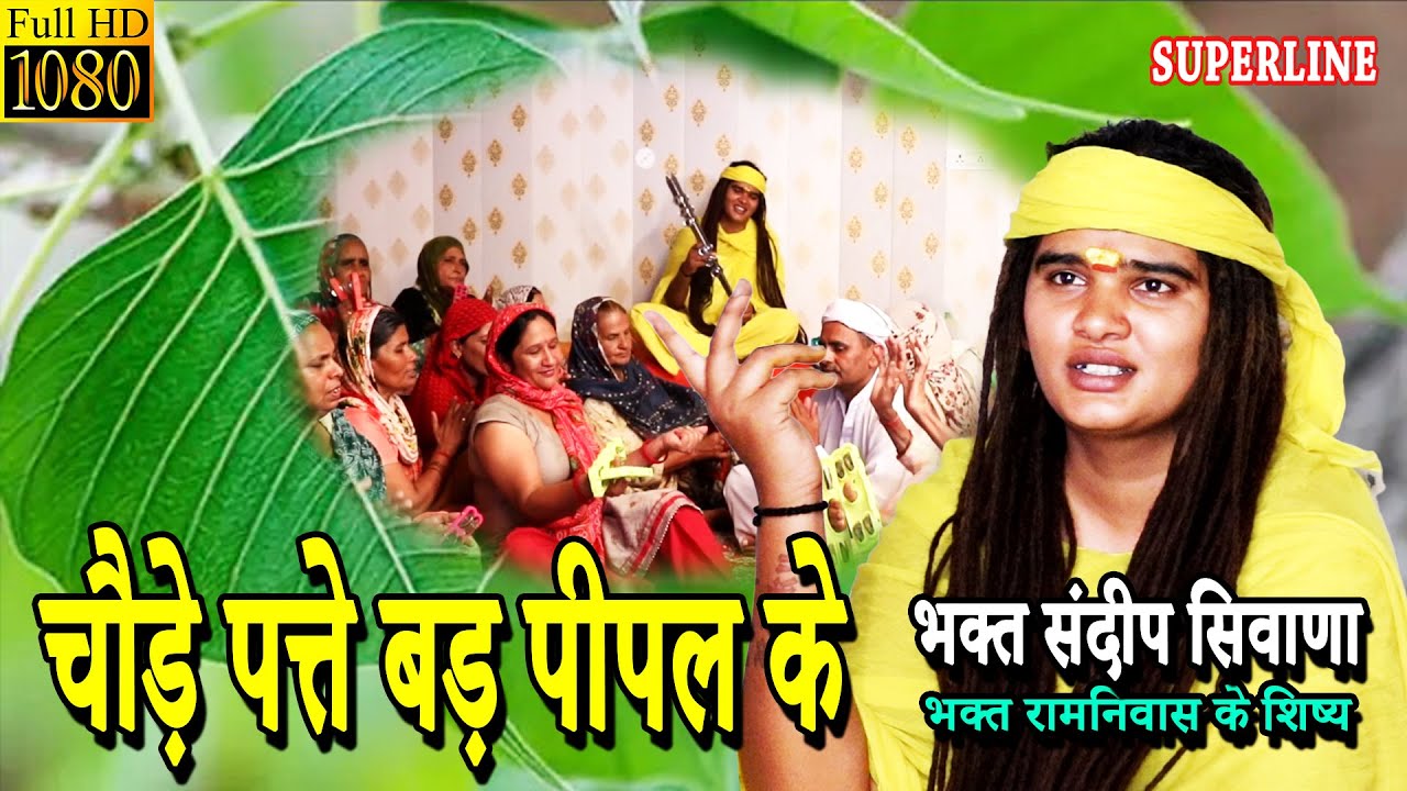 850 चौड़े पत्ते बड़ पीपल के || SANDEEP BHAGAT SIWANA|| CHODE PATTE BAD ...