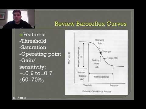 BP Regulation During Exercise Part 1 - YouTube