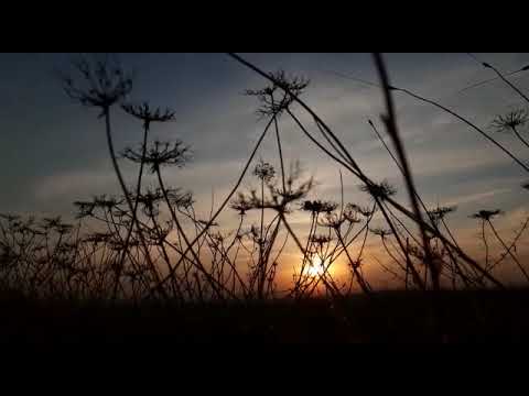 İki kalp/ Cemal Süreya