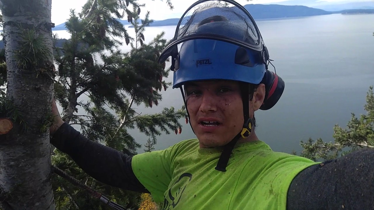 Awesome Windsail Job with Whatcom Tree Service - YouTube