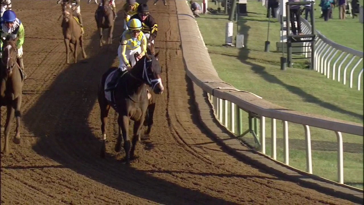 Classic Empire Headlines 2017 Holy Bull Stakes - YouTube