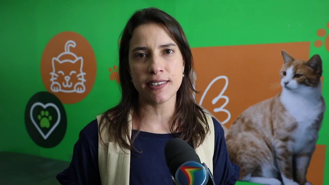 AME Animal é entregue à população de Caruaru nesta sexta - YouTube