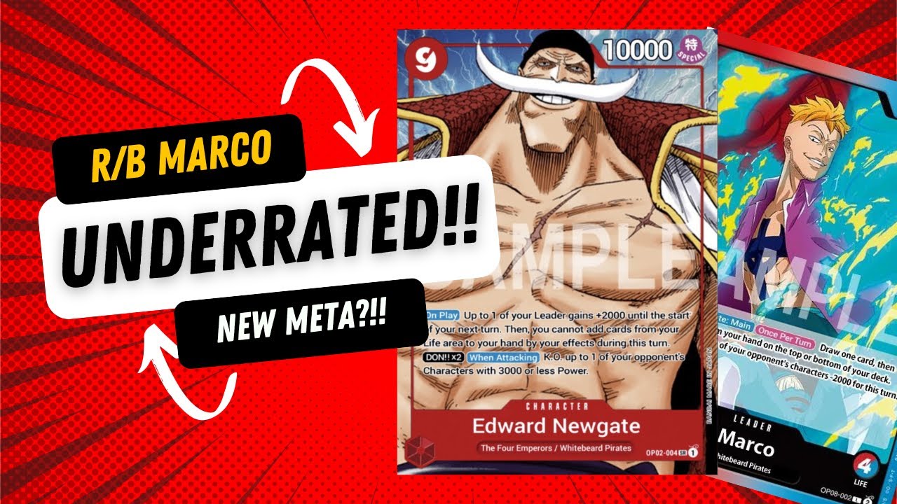 MARCO | UNDERRATED LEADER!! | TWO 9 DROPS PER TURN! | OP-08 | BUILD ...