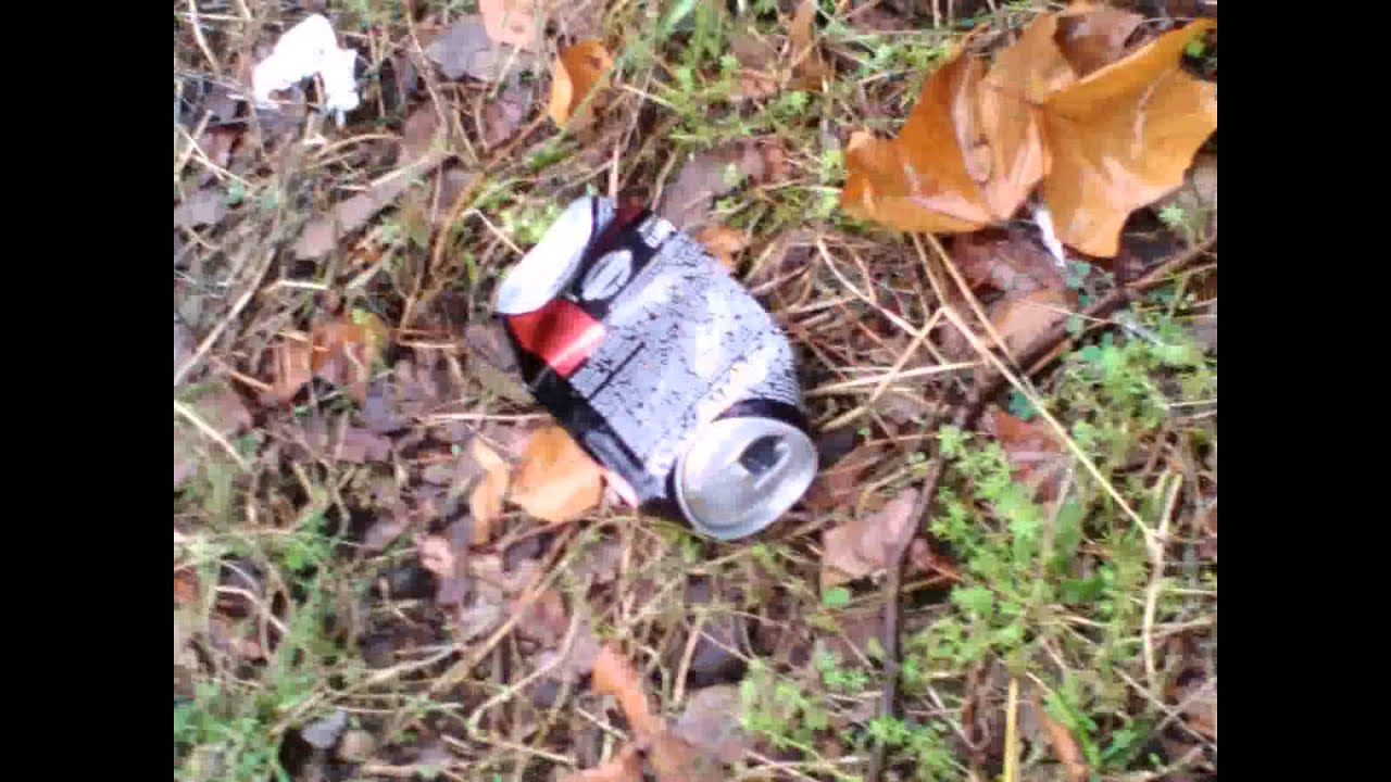 Bunebis dacva - YouTube