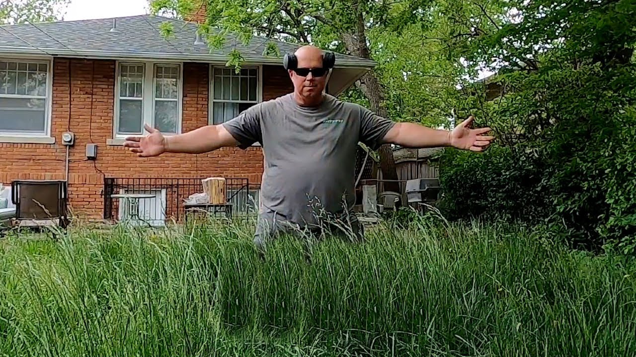 Homeowner SHOCKED at BACKYARD TRANSFORMATION - YouTube