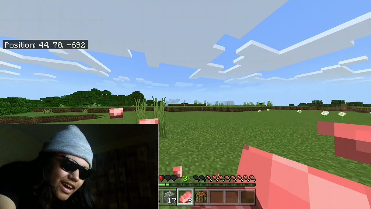 I play Minecraft one more time (Froot Loop vlog Unedited) - YouTube