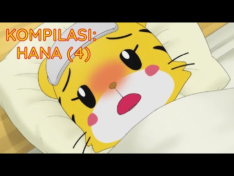Kompilasi: Hana (4) | Kartun Anak Bahasa Indonesia | Shimajiro Indonesia - YouTube
