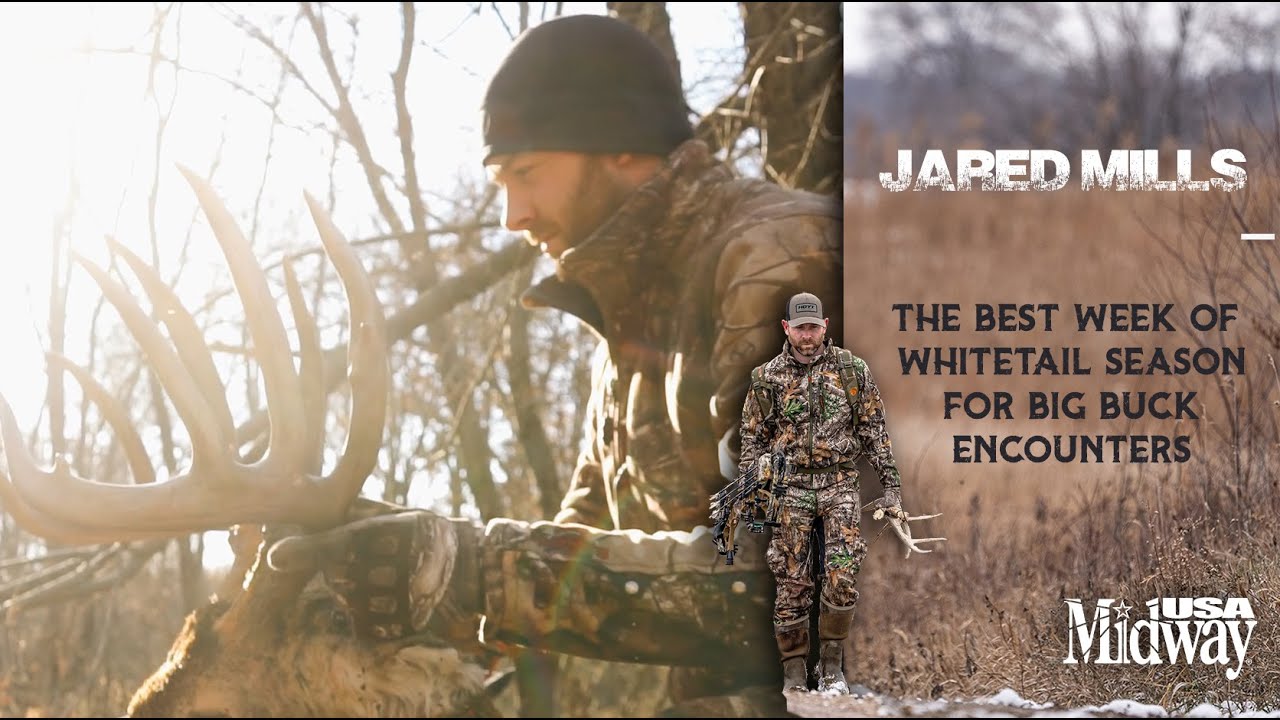 Best Week of Whitetail Season for Big Buck Encounters | Jared Mills ...