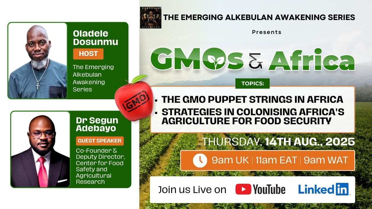 The GMO Puppet Strings in Africa: How our systems have been compromised ...