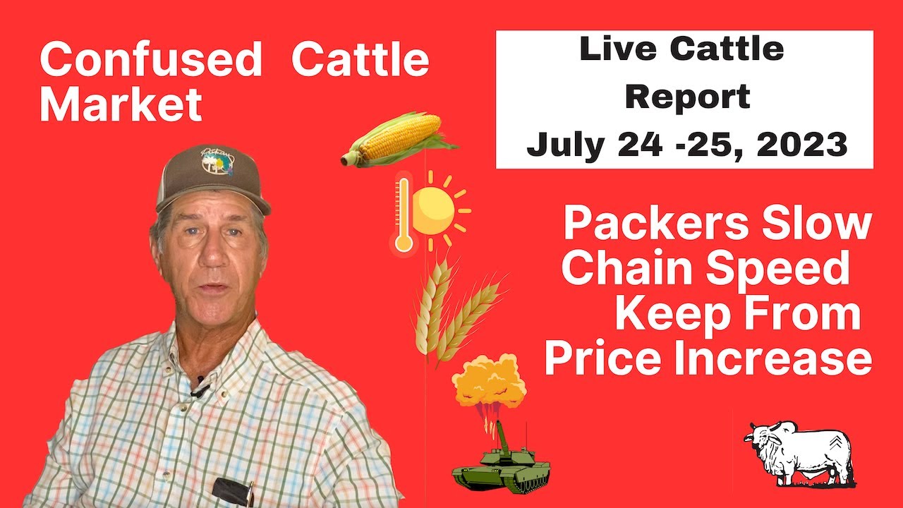 War & Weather + Confused Corn Effect Cattle This Week - YouTube