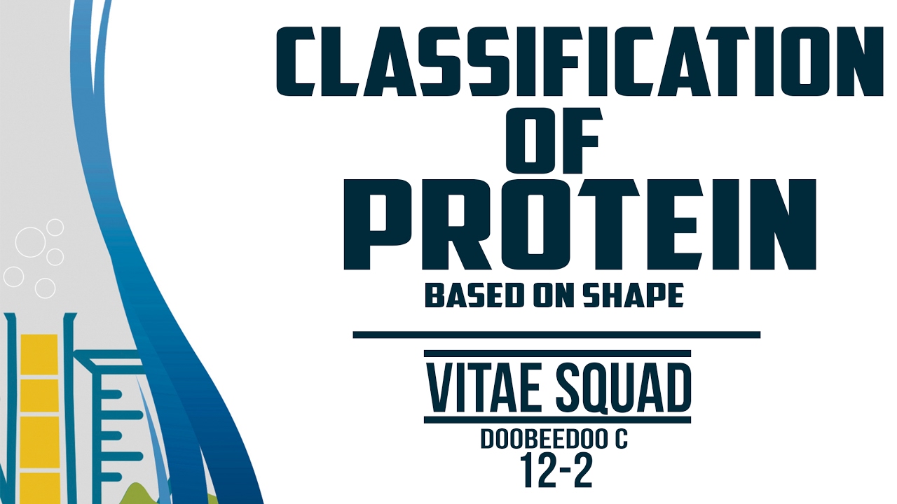 Classification of protein based on shape [12-2] - YouTube