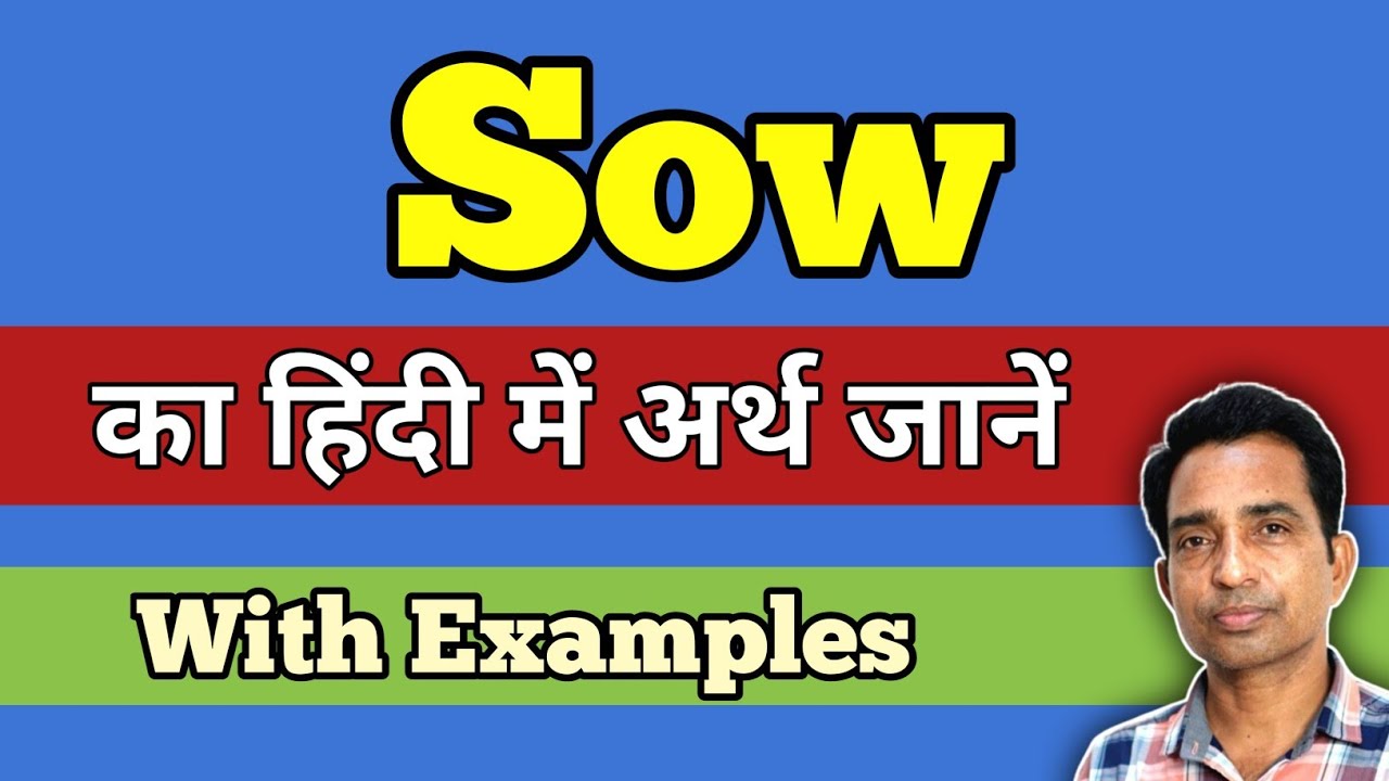 Sow Meaning In Hindi | Daily English Words | English Vocabulary Words ...
