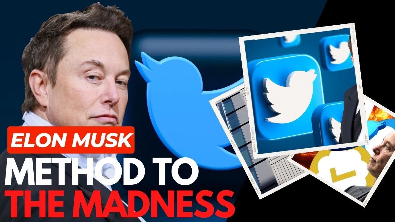 Elon Musk Start With Twitter Hiring: The Firing Is Done! - YouTube