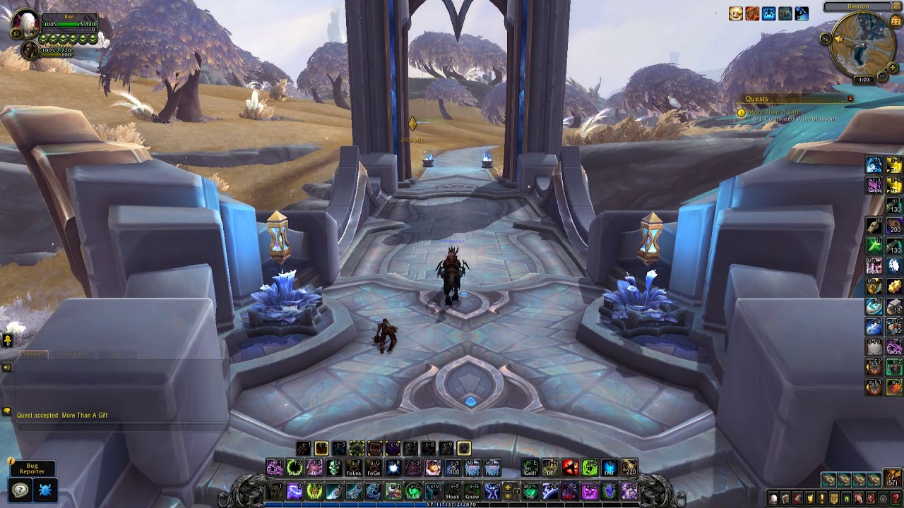 More Than A Gift, WoW Shadowlands Quest - YouTube