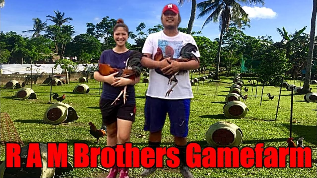 Lets Visit The Farm Of RAM Brothers Gamefarm - YouTube