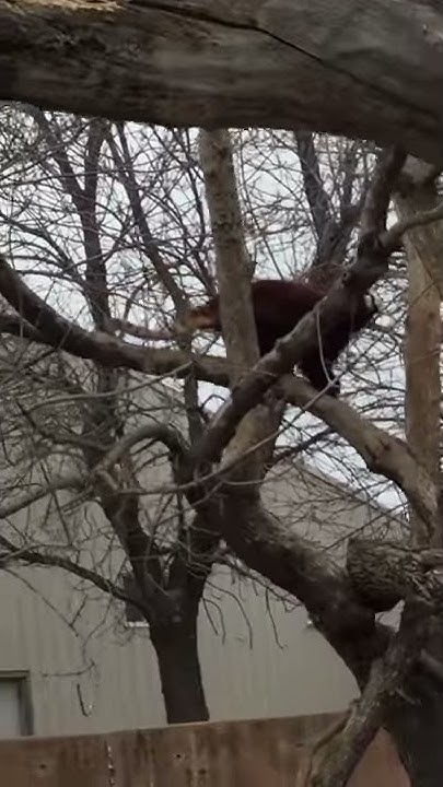 Me Getting Scared By S Peacock Youtube