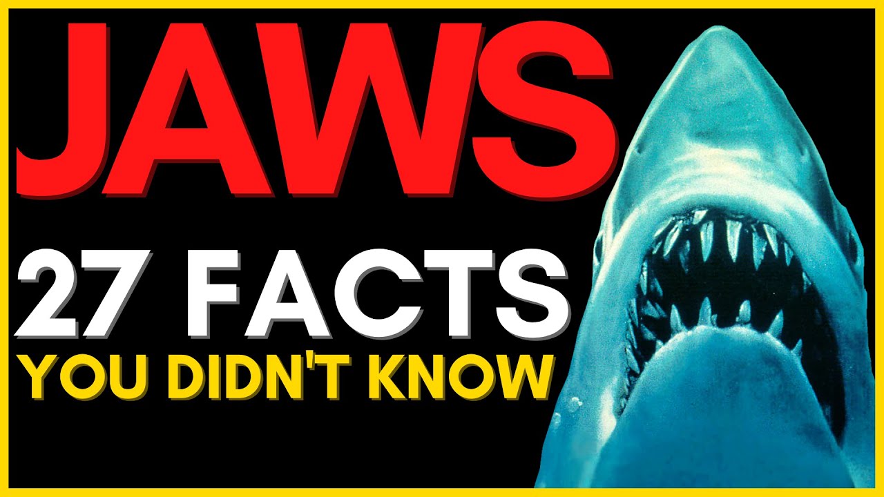 The Making of JAWS: Discover the Hidden Truths of the Iconic Film - YouTube