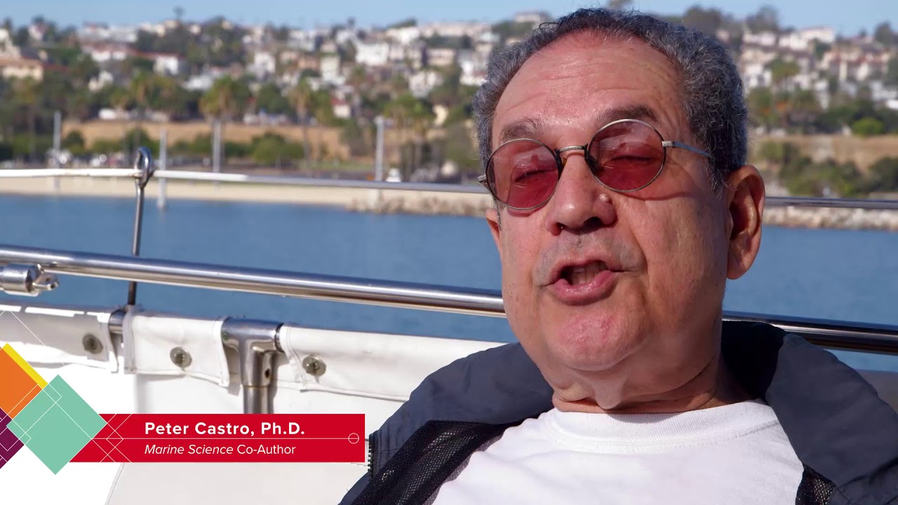 What's Unique about Castro's Marine Science? - YouTube
